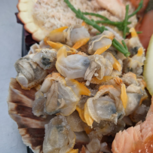 Cockles | Fish Glorious Fish