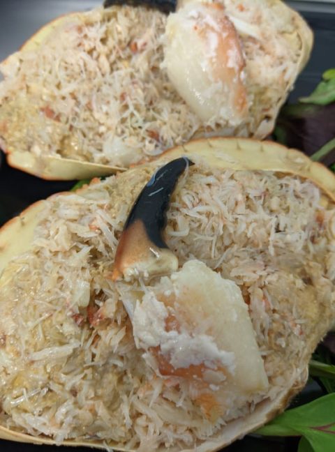 Dressed Crab | Fish Glorious Fish