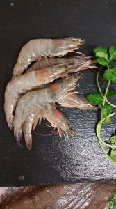 Raw Head on 20/30 Crevettes (Prawns) | Fish Glorious Fish