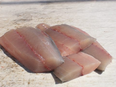 Mackerel fillet | Fish Glorious Fish
